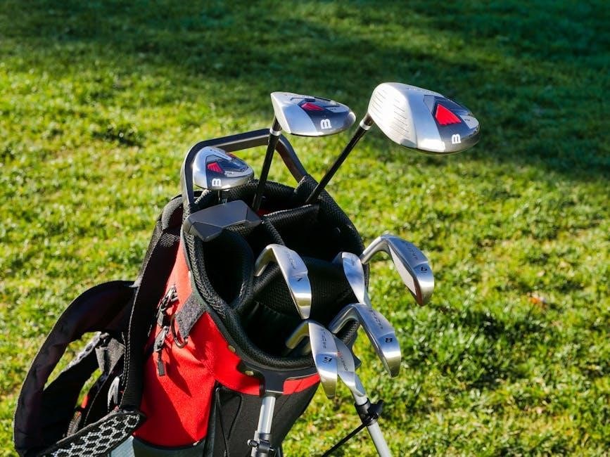 Caddy Catalogue PDF - Download Now!